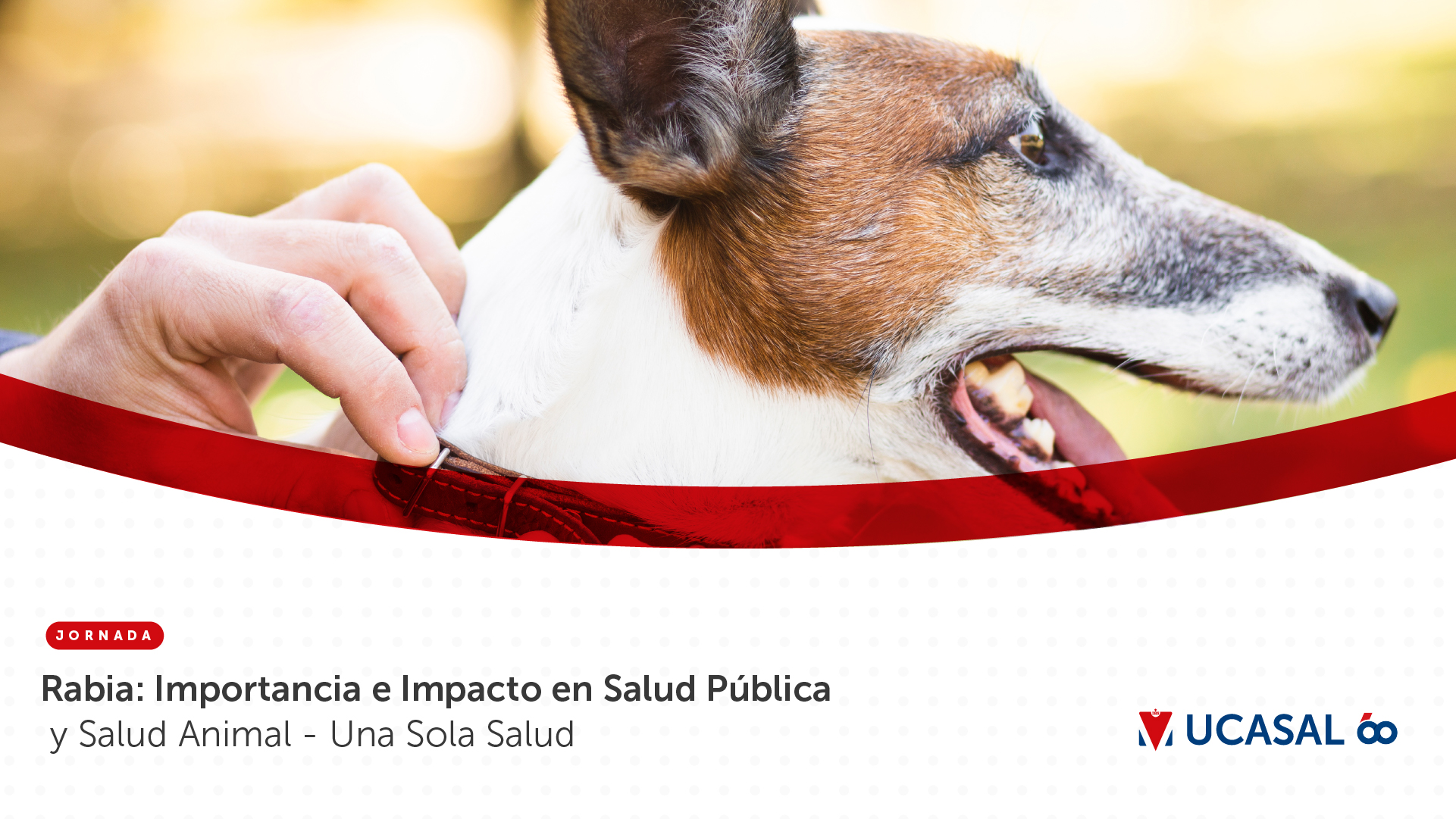 Rabia: Importancia e Impacto en Salud Pública y Salud Animal - Una Sola ...